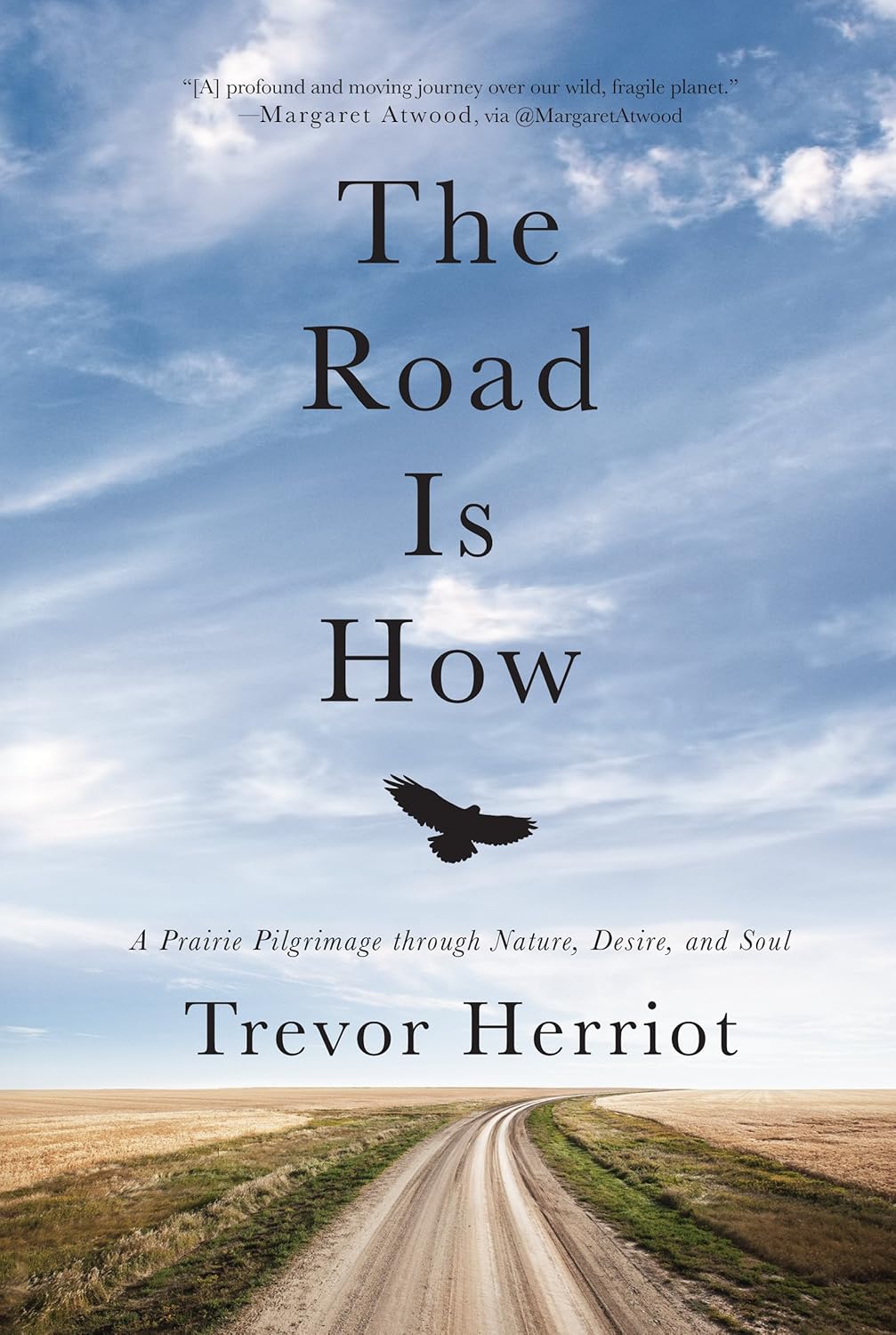 The Road Is How – Project Pedestrian